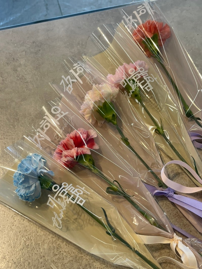 서귀포 대정읍 구억리 제주영어마을 꽃가게 카네이션 스승의 날 선생님 선물 국제학교 한송이 카네이션 네이버 블로그