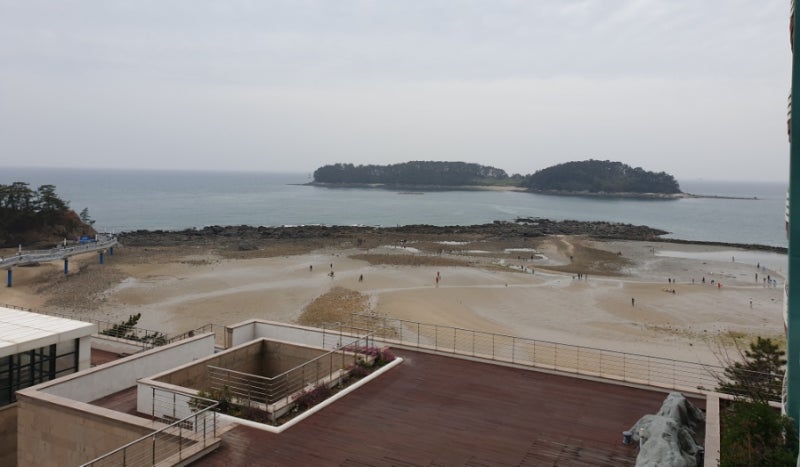 해수욕장 바로 앞 콘도 보령 비체팰리스 객실 컨디션 에머니티 갯벌 준비물 네이버 블로그