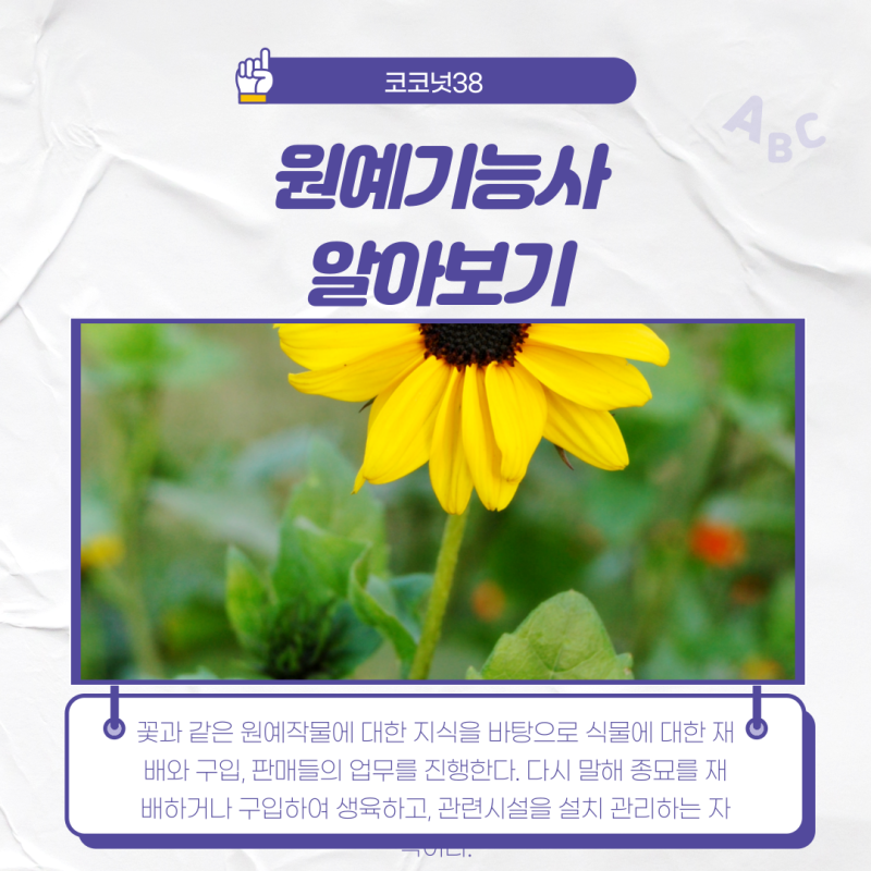 농업 자격증 종류종자 기능사 자격증 도시농업관리사 원예기능사 농업기계기능사 임업종묘기능사 필기 실기 산업기사 기사까지