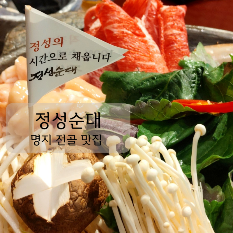 부산 명지 국제신도시 정성가득 푸짐한 전골 맛집 정성순대 네이버 블로그