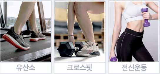 일립티컬 머신 운동 효과 칼로리 소모량 천국의 계단 운동기구 네이버 블로그