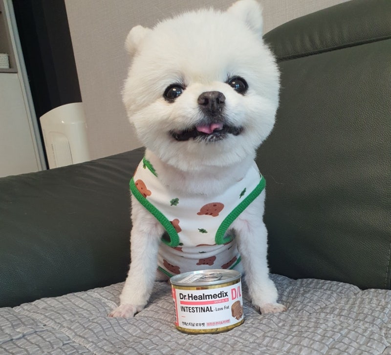 닥터힐메딕스 가스트로 인테스티날 로우펫 습식캔 강아지 췌장염식이 저지방식이 소화기 약한 아이들 필독 네이버 블로그