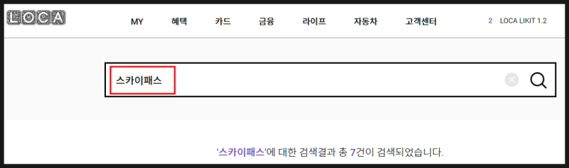 Skypass 롯데카드 아멕스 Vs 마스터 차이점국세 납부용 카드 3 네이버 블로그