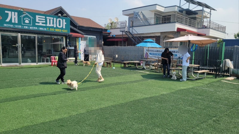 외부출강 산책교육 원데이클래스 반려견교육 익산강아지교육 펫티켓 익산가볼만한곳 익산애견카페 익산애견동반 강아지방문교육 문제행동