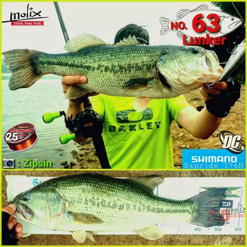 몰릭스 슈퍼사운드 박기현 스페셜 컬러 구매기록Molix TW110B & 95B SuperSound : 네이버 블로그