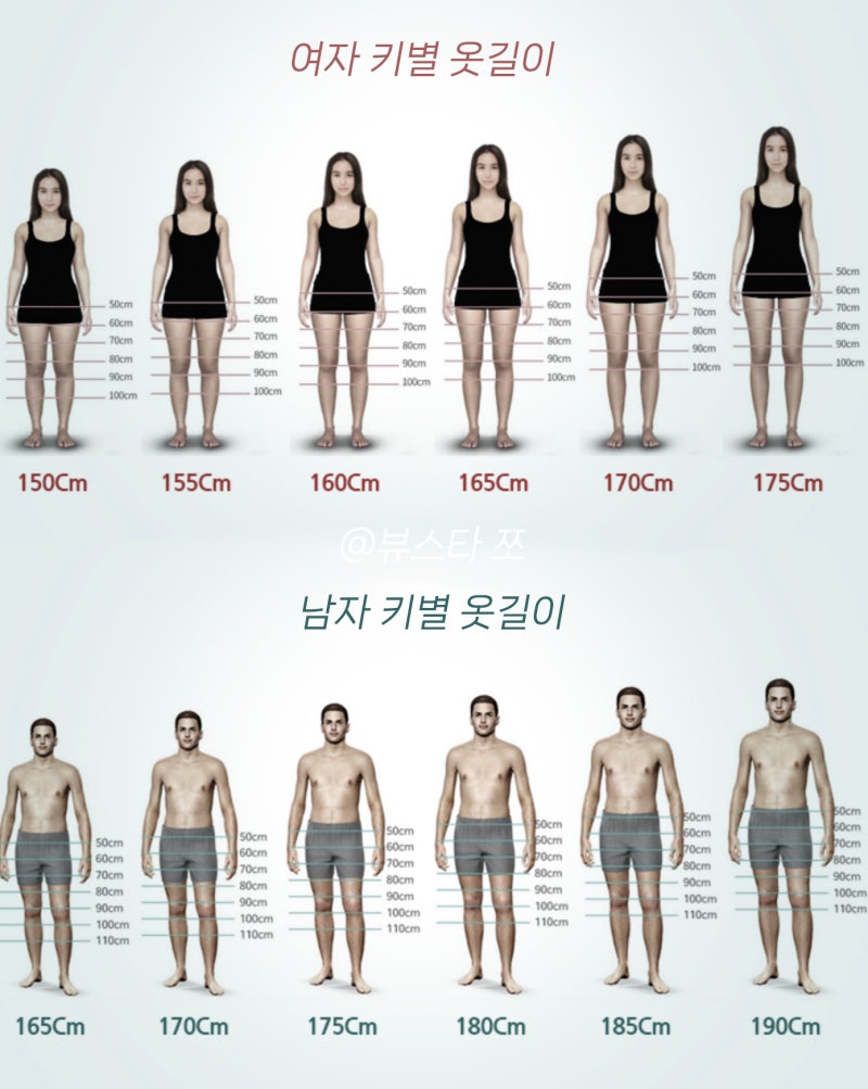남자 여자 키별 옷길이 원피스 치마 바지 상의 티 아우터 길이 총정리 Zip 네이버 블로그