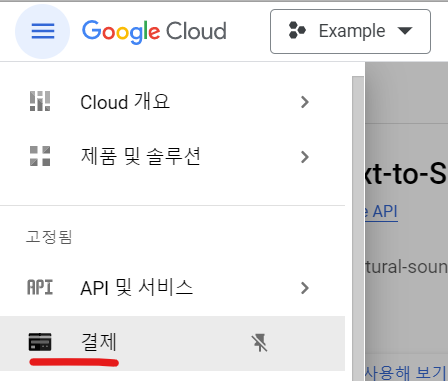 [Google Cloud TTS] TTS(Text-to-Speech) API 사용하기! : 네이버 블로그