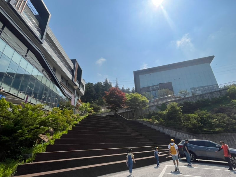 경기도 포천 어메이징파크💚 포천과학테마파크🔬어메이징스윙물그네히든브릿지솔트가든카페🤎 포천 치유의 숲은 힐링 그 잡채