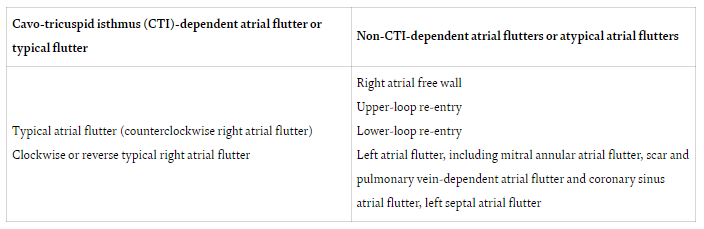 심방조동 분류 : Cavo-tricuspid isthmus (CTI)-dependent atrial flutter와 Non ...
