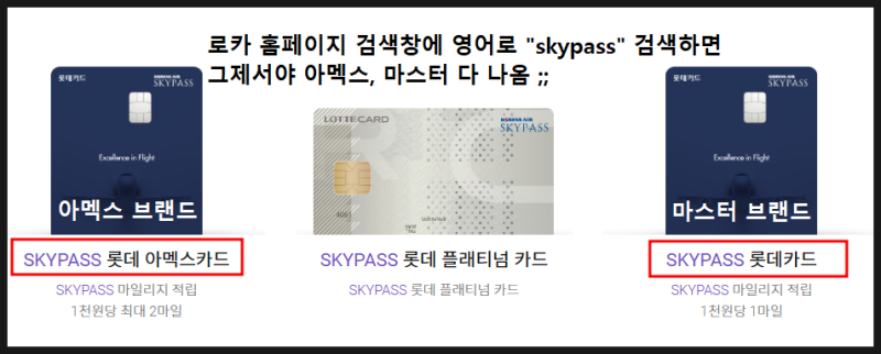 Skypass 롯데카드 아멕스 Vs 마스터 차이점국세 납부용 카드 3 네이버 블로그