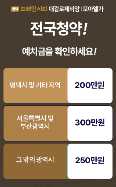 1700세대 대단지 평택 브레인시티 대광로제비앙 모아엘가 신축아파트분양 네이버 블로그
