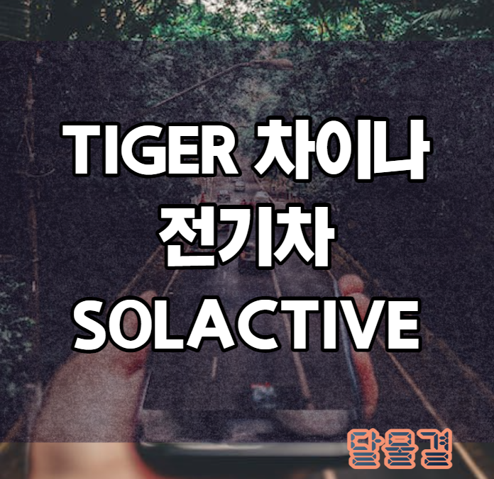 TIGER 차이나전기차SOLACTIVE 주가, 길게 보면 괜찮다 : 네이버 블로그