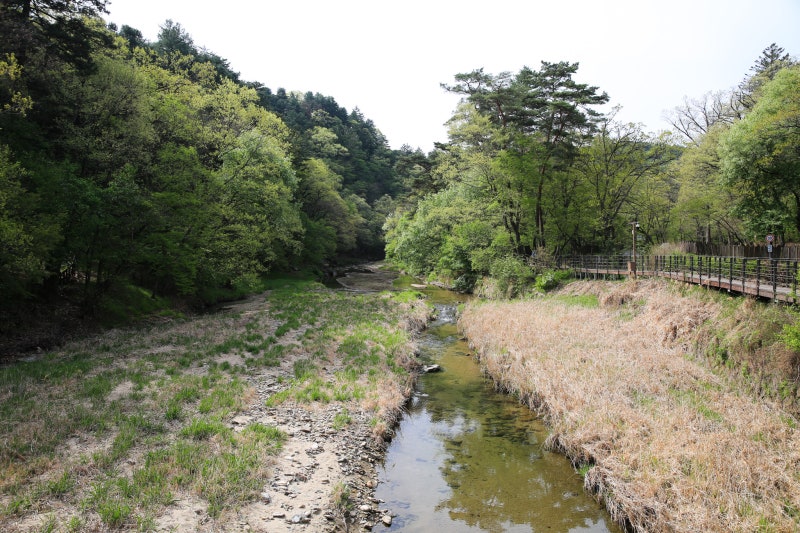 남양주 광릉숲길 트래킹~주차정보소요시간 등 네이버 블로그