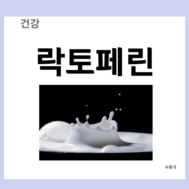 락토페린 효능 부작용 락토페린 다이어트 효과 락토페린 복용법 네이버 블로그
