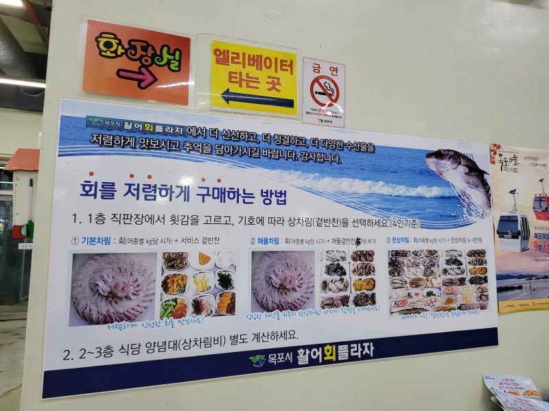 목포 북항 회센터 윤이네 수산 네이버 블로그