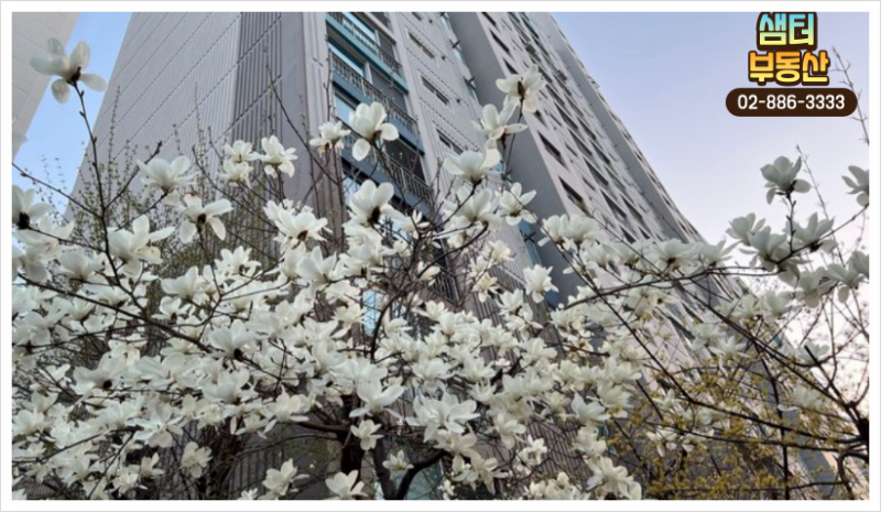 관악드림타운 단지정보 실거래가 및 시세 알아보기 봉천동아파트 봉천동재개발 네이버 블로그