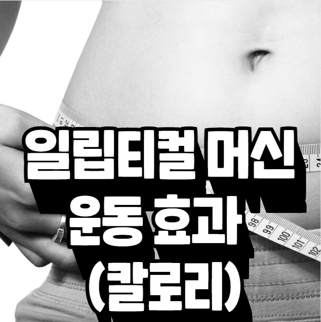 일립티컬 머신 운동 효과 칼로리 소모량 천국의 계단 운동기구 네이버 블로그