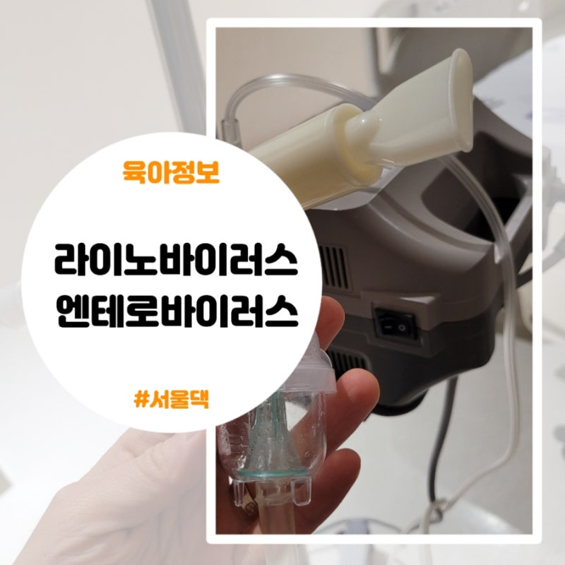 라이노바이러스엔테로바이러스 네이버 블로그