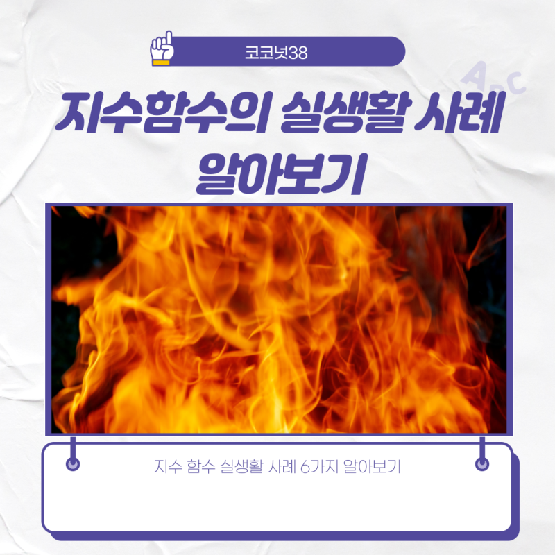 지수함수 로그함수 실생활 사례 알아보기12개 이상 네이버 블로그