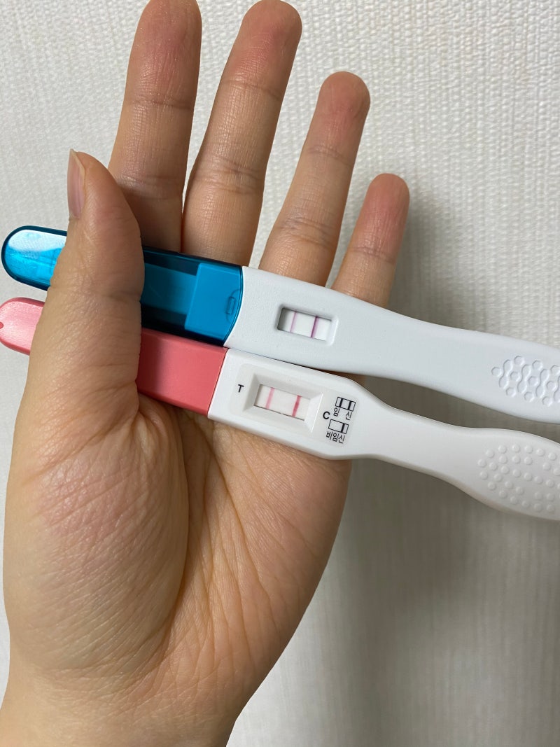임신테스트기 2줄 보이는 시기 임테기 사용시기 방법 원포 동아얼리 유한 임테기비교 네이버 블로그