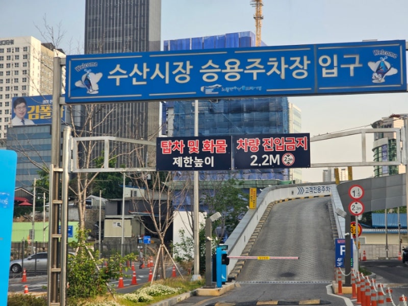 노량진 수산시장 회포장 생참치 모듬회 클래스가 다른 충남미림 네이버 블로그