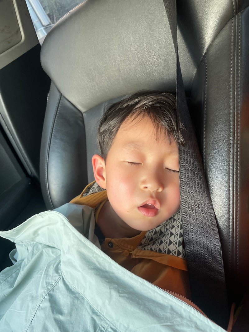 파라바이러스 증상 파라인플루엔자 전염 후 치료 네이버 블로그