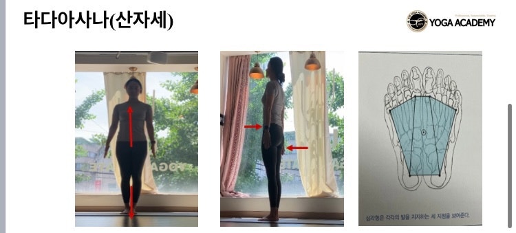 Kyf Riy 요가 지도자 과정 5주 차 Standing Asana 힘의 방향 실습4주 차 수련과정 네이버 블로그