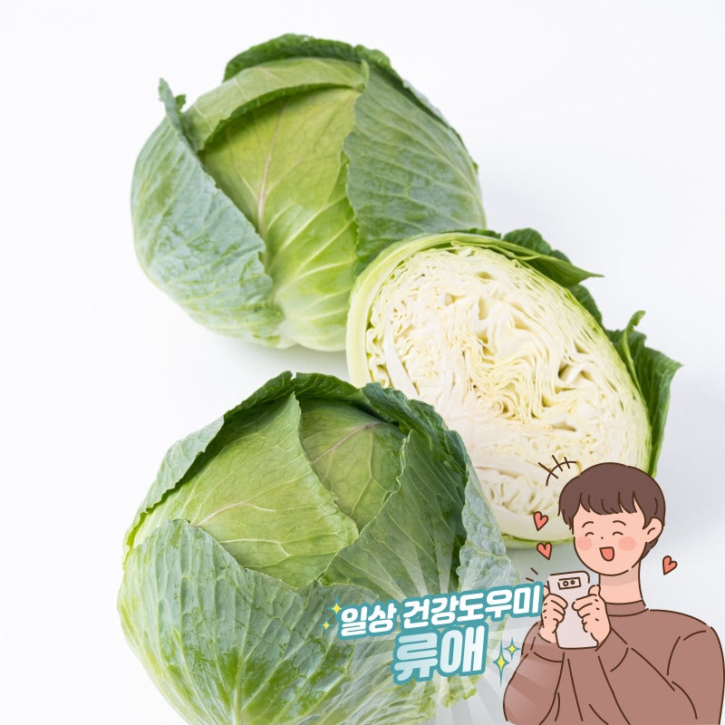 생 양배추 효능과 삶은 양배추 효능 다를까 양배추 영양 성분칼로리 및 양배추즙 네이버 블로그