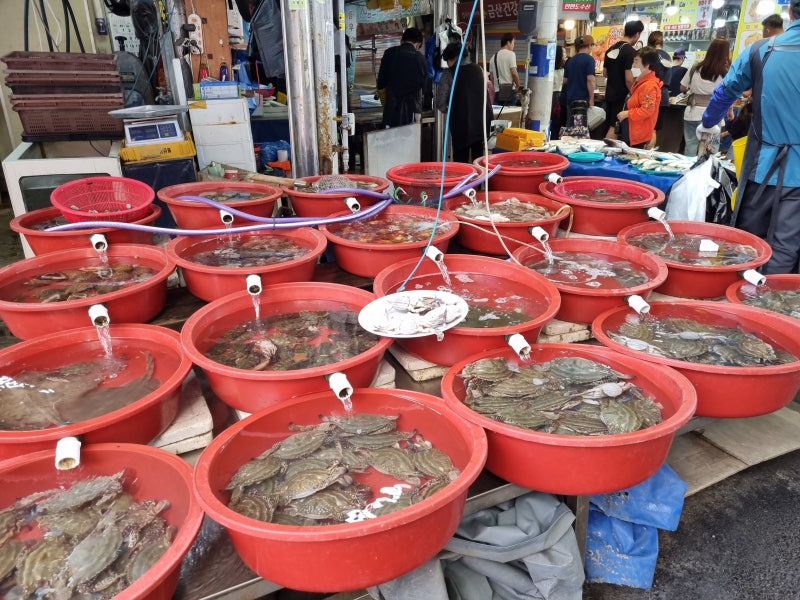 충남 천안 아산 여행 가볼만한곳 먹거리 가득한 온양온천시장 온양온천역풍물5일장 네이버 블로그