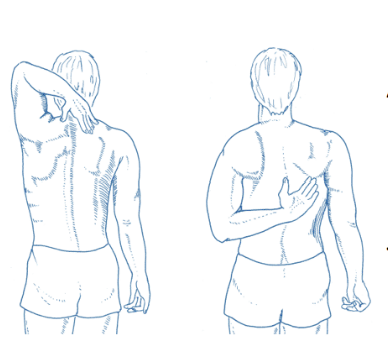 검사법 8. Apley's Scratch Test 애플리 아플리 긁기 검사 : 네이버 블로그