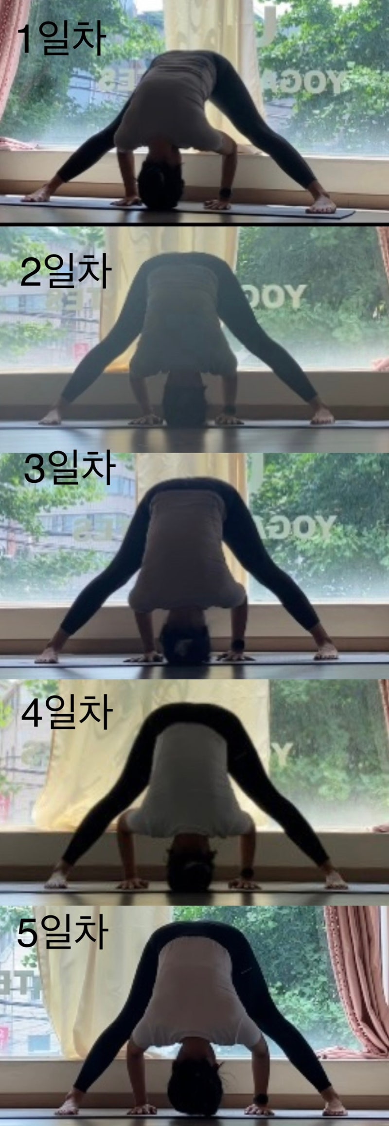 Kyf Riy 요가 지도자 과정 6주 차 Sitting Asana 힘의 방향 실습5주 차 수련과정 네이버 블로그