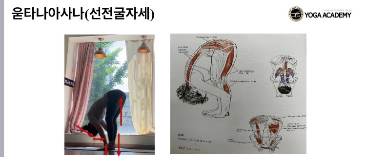 Kyf Riy 요가 지도자 과정 5주 차 Standing Asana 힘의 방향 실습4주 차 수련과정 네이버 블로그