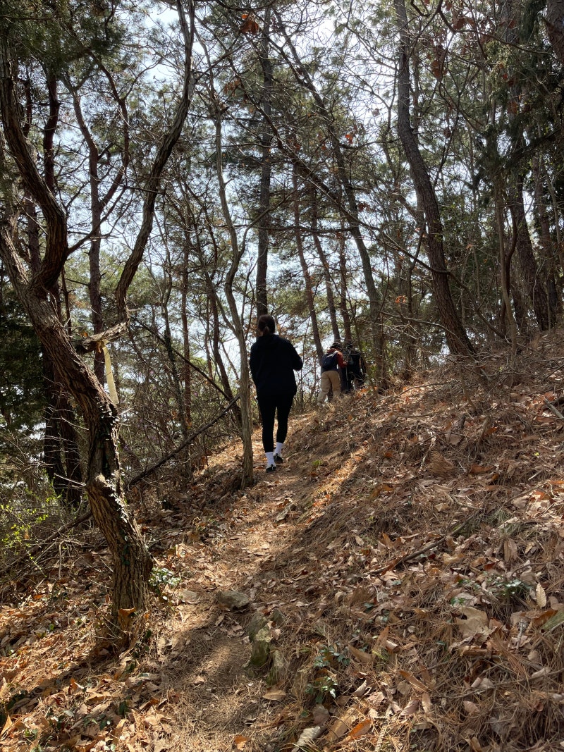 전남등산 영암 상은적산 등산코스 소요시간 최단코스 네이버 블로그