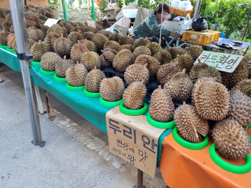 충남 천안 아산 여행 가볼만한곳 먹거리 가득한 온양온천시장 온양온천역풍물5일장 네이버 블로그
