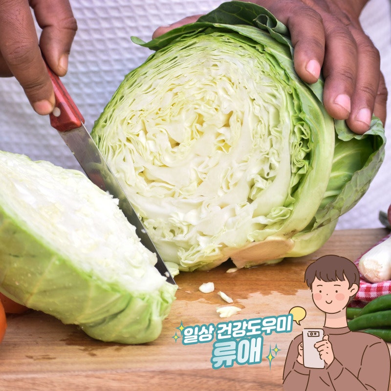 생 양배추 효능과 삶은 양배추 효능 다를까 양배추 영양 성분칼로리 및 양배추즙 네이버 블로그