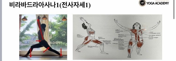 Kyf Riy 요가 지도자 과정 5주 차 Standing Asana 힘의 방향 실습4주 차 수련과정 네이버 블로그