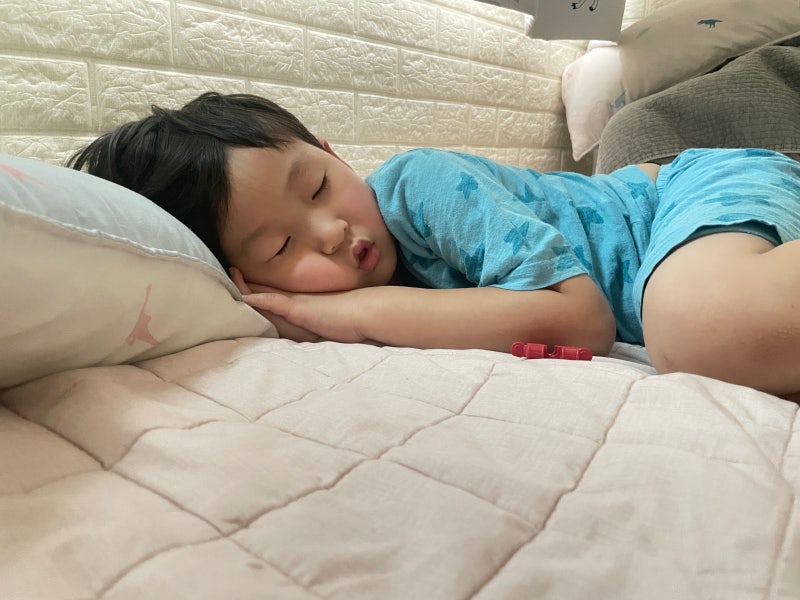 파라바이러스 증상 파라인플루엔자 전염 후 치료 네이버 블로그