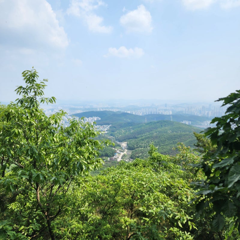 광교산 형제봉→시루봉 등산코스 월드비전 글로벌 6k 기부 하이킹3구좌 인증 네이버 블로그