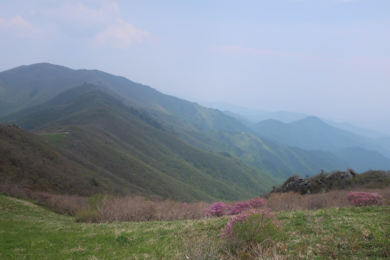 소백산 등산코스 어의곡탐방지원센터~비로봉~천동탐방지원센터 네이버 블로그
