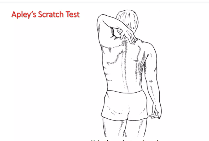 검사법 8. Apley's Scratch Test 애플리 아플리 긁기 검사 : 네이버 블로그