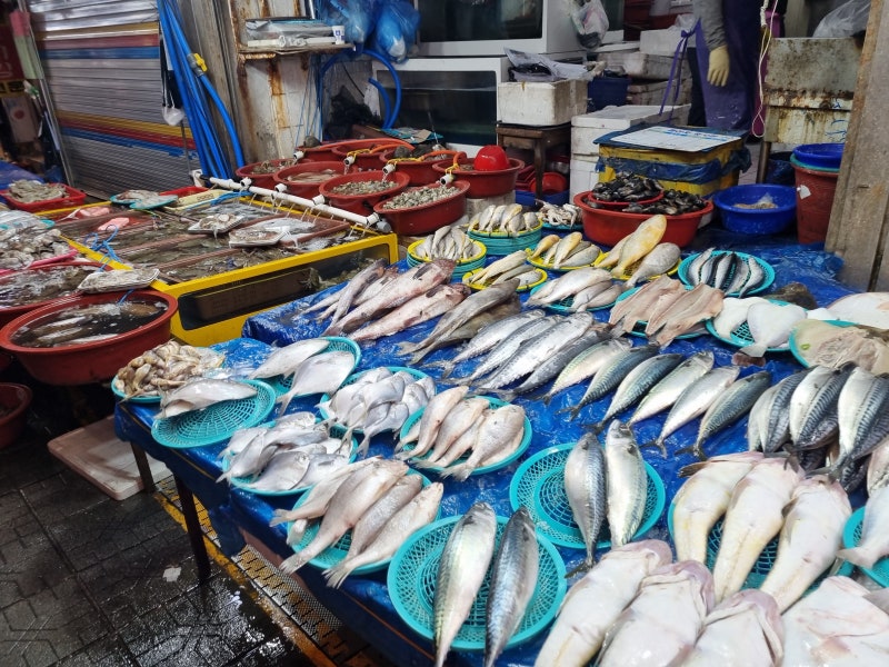 충남 천안 아산 여행 가볼만한곳 먹거리 가득한 온양온천시장 온양온천역풍물5일장 네이버 블로그