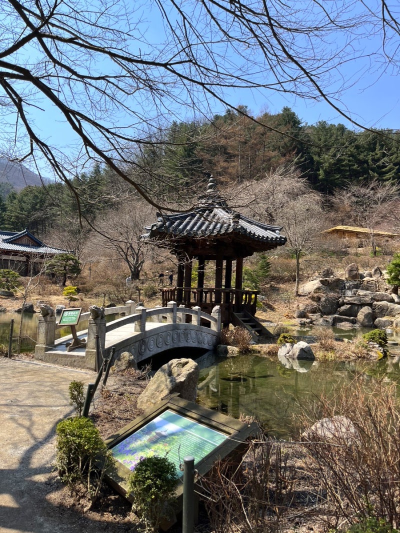 경기도 가평 가볼만한곳 서울근교 아침고요수목원 봄꽃페스타 정보 주말 나들이 네이버 블로그