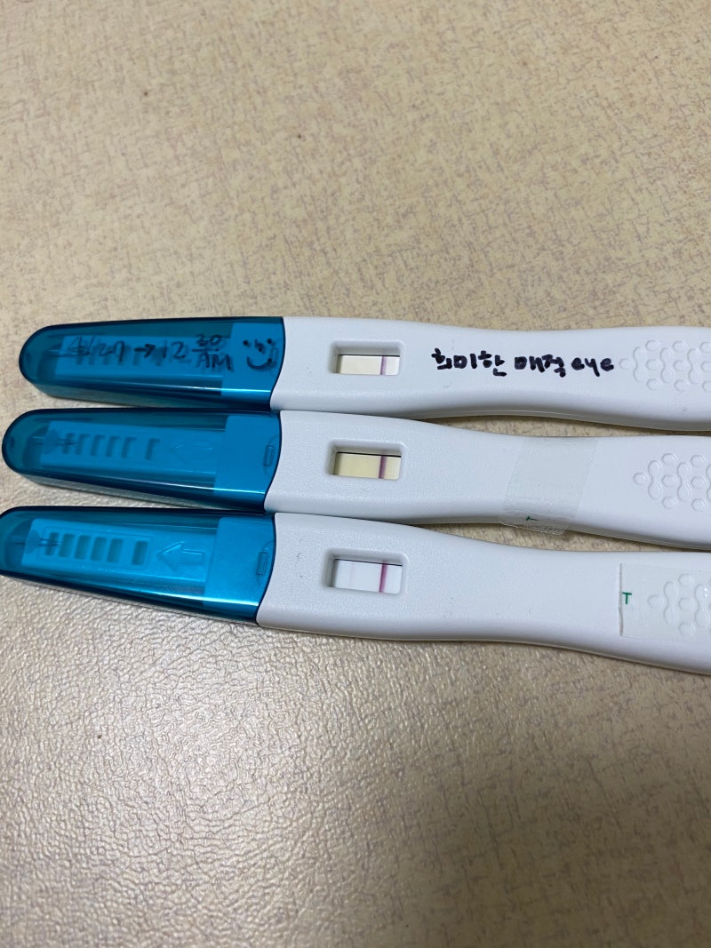 임신테스트기 2줄 보이는 시기 임테기 사용시기 방법 원포 동아얼리 유한 임테기비교 네이버 블로그