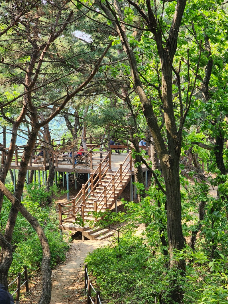 광교산 형제봉→시루봉 등산코스 월드비전 글로벌 6k 기부 하이킹3구좌 인증 네이버 블로그