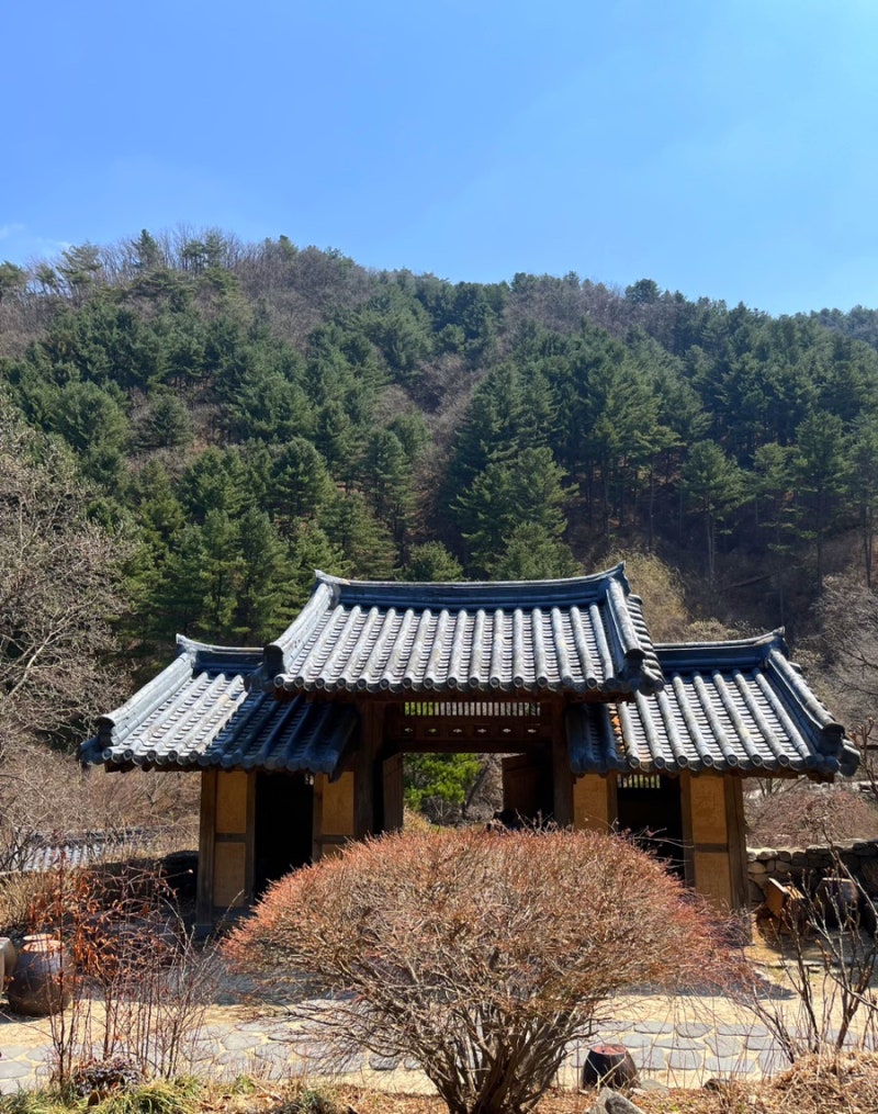 경기도 가평 가볼만한곳 서울근교 아침고요수목원 봄꽃페스타 정보 주말 나들이 네이버 블로그