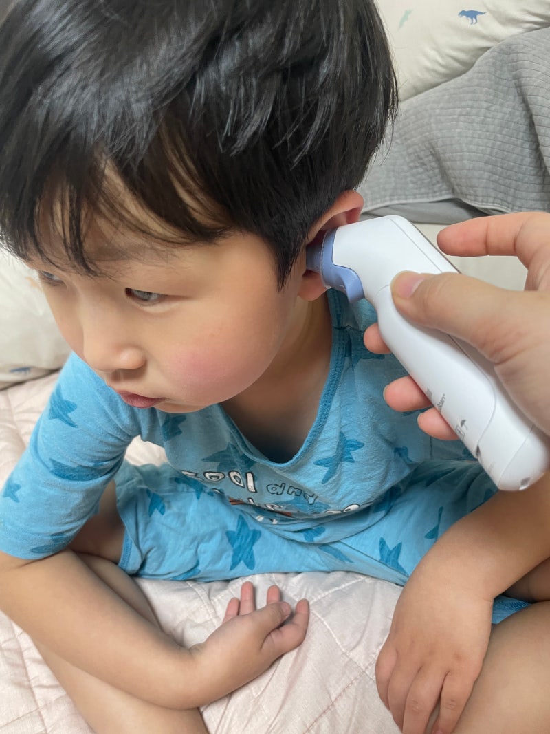 파라바이러스 증상 파라인플루엔자 전염 후 치료 네이버 블로그