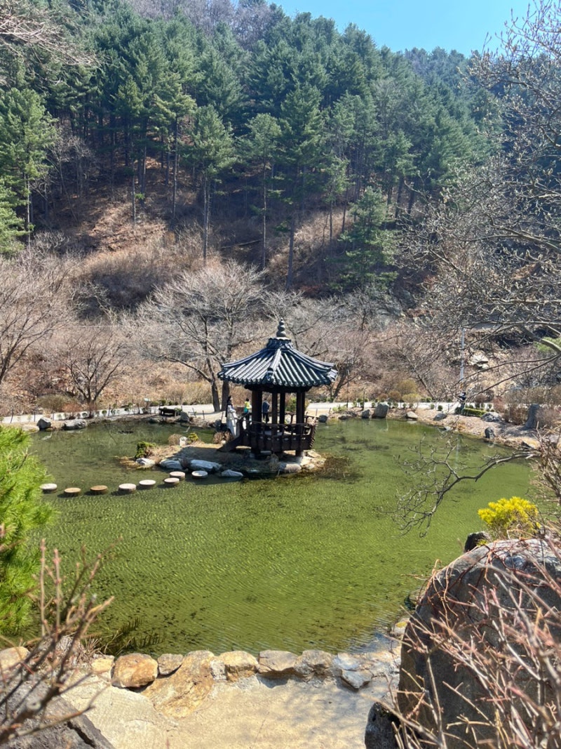 경기도 가평 가볼만한곳 서울근교 아침고요수목원 봄꽃페스타 정보 주말 나들이 네이버 블로그