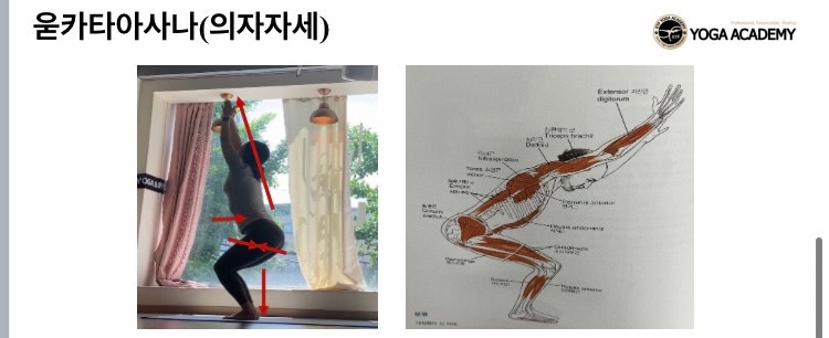 Kyf Riy 요가 지도자 과정 5주 차 Standing Asana 힘의 방향 실습4주 차 수련과정 네이버 블로그