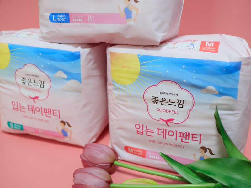 좋은느낌 입는데이팬티 입는생리대 후기 하루종일 편한 생리팬티 강추 네이버 블로그