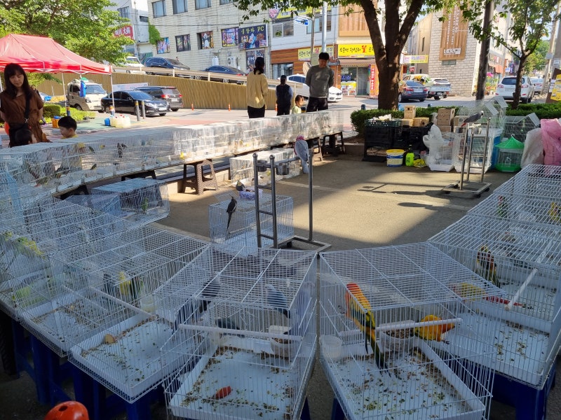 충남 천안 아산 여행 가볼만한곳 먹거리 가득한 온양온천시장 온양온천역풍물5일장 네이버 블로그